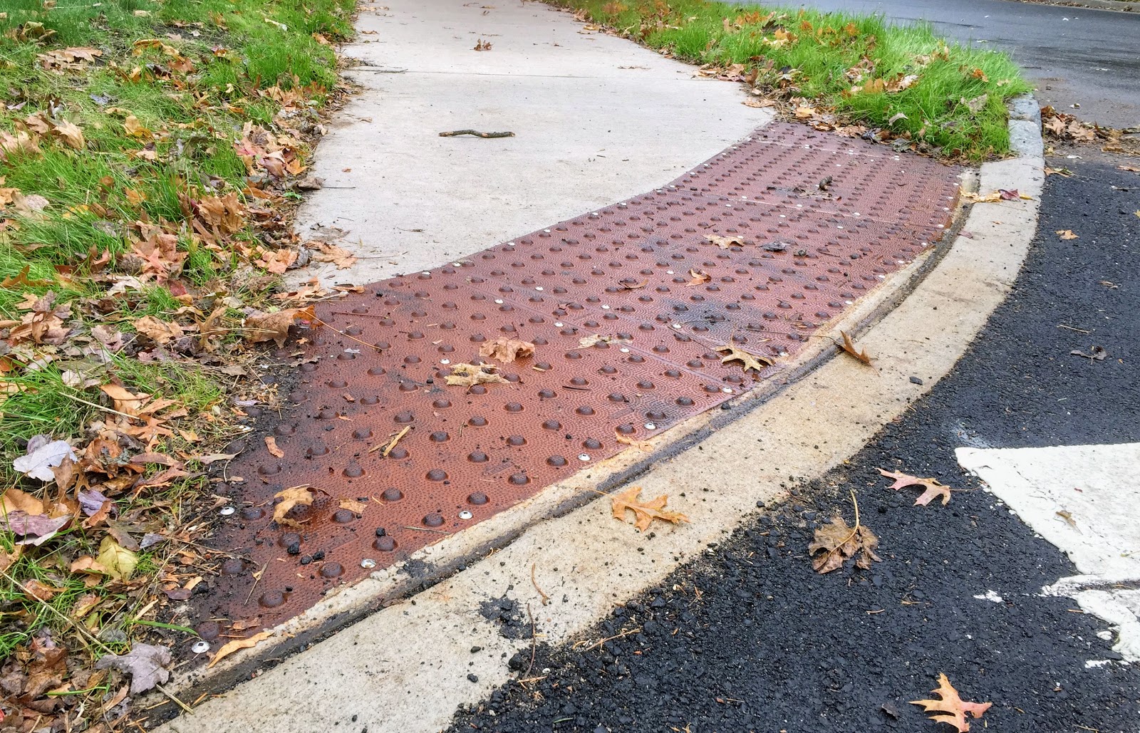PrincetonPrimer: Giving Thanks for Improved Sidewalks