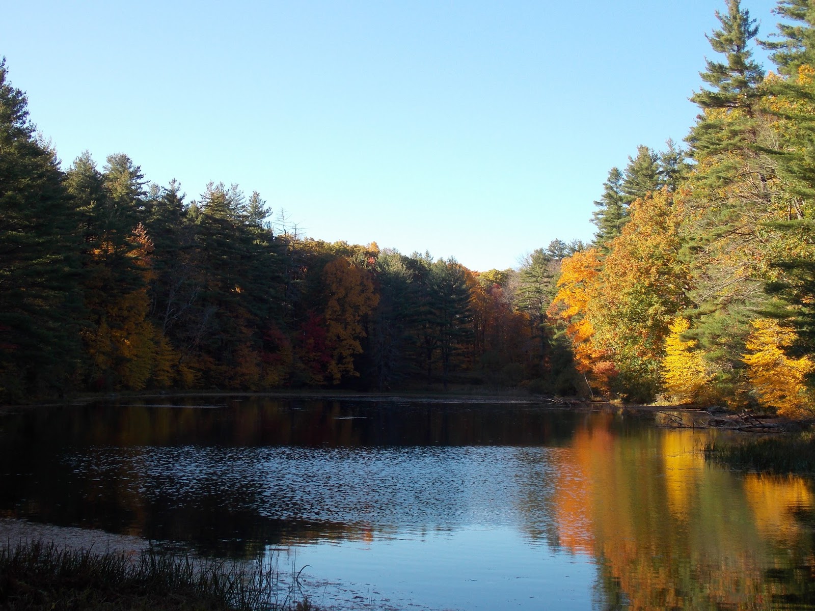 Adventures for Anyone: The Best of My Fall Photos...In Connecticut!