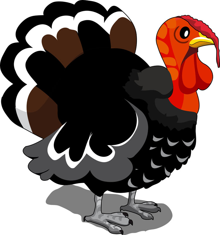 Ilustración digital proyecto Villatica y otros (Softcial)