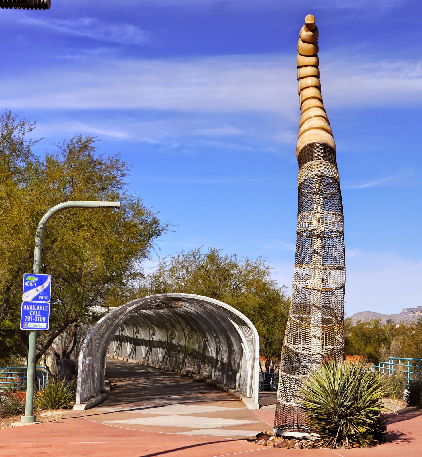 Jim and Bev: Tucson's Rattlesnake Bridge