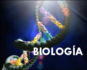 Biologia :): Biologia eta horren adarrak