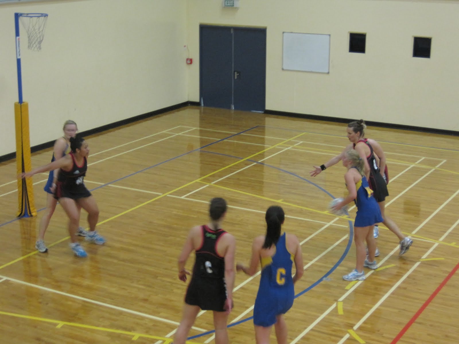 Aussie Cyn: Rugby and Netball