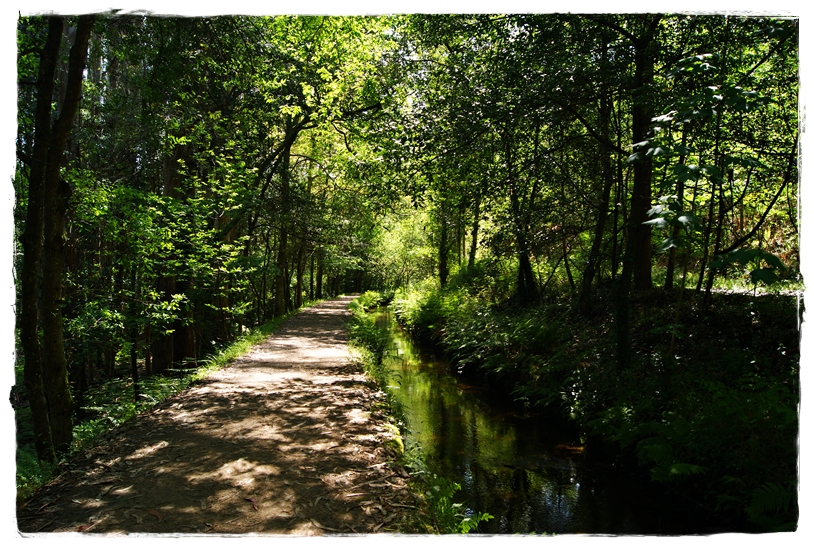 Un paseo,una foto: Souto da Retorta - Eucaliptal de Chavín. Viveiro (Lugo)