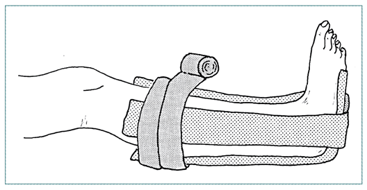 My Osh Course: Case Study 1