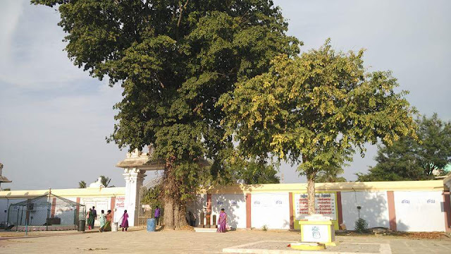 Tamilnadu Tourism: Pushparatheswarar Temple, Gnayiru Gramam – The Temple