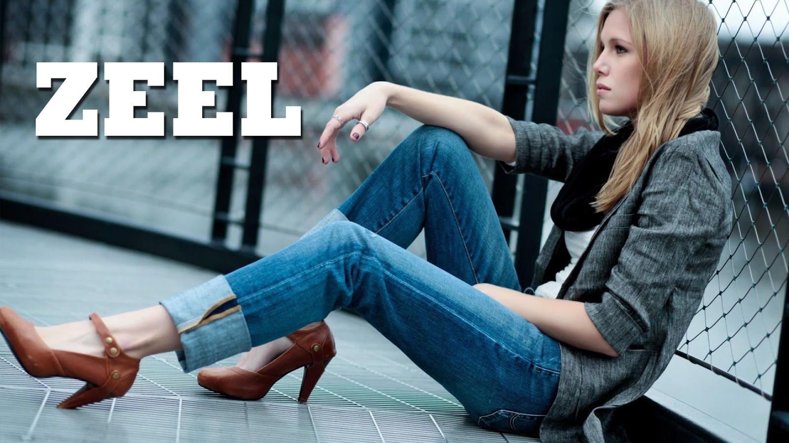 Zeel Pakistan: Zeel Pakistan