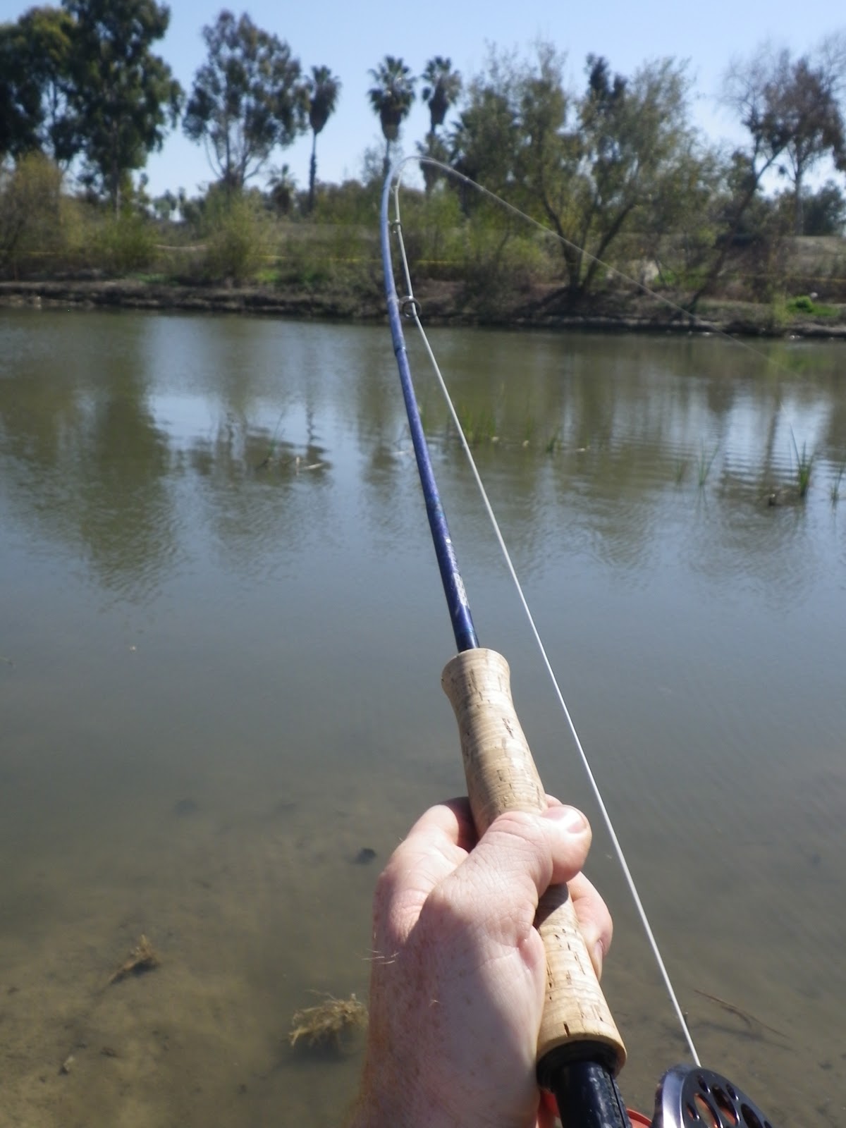 Alex Cady Fly Fishing