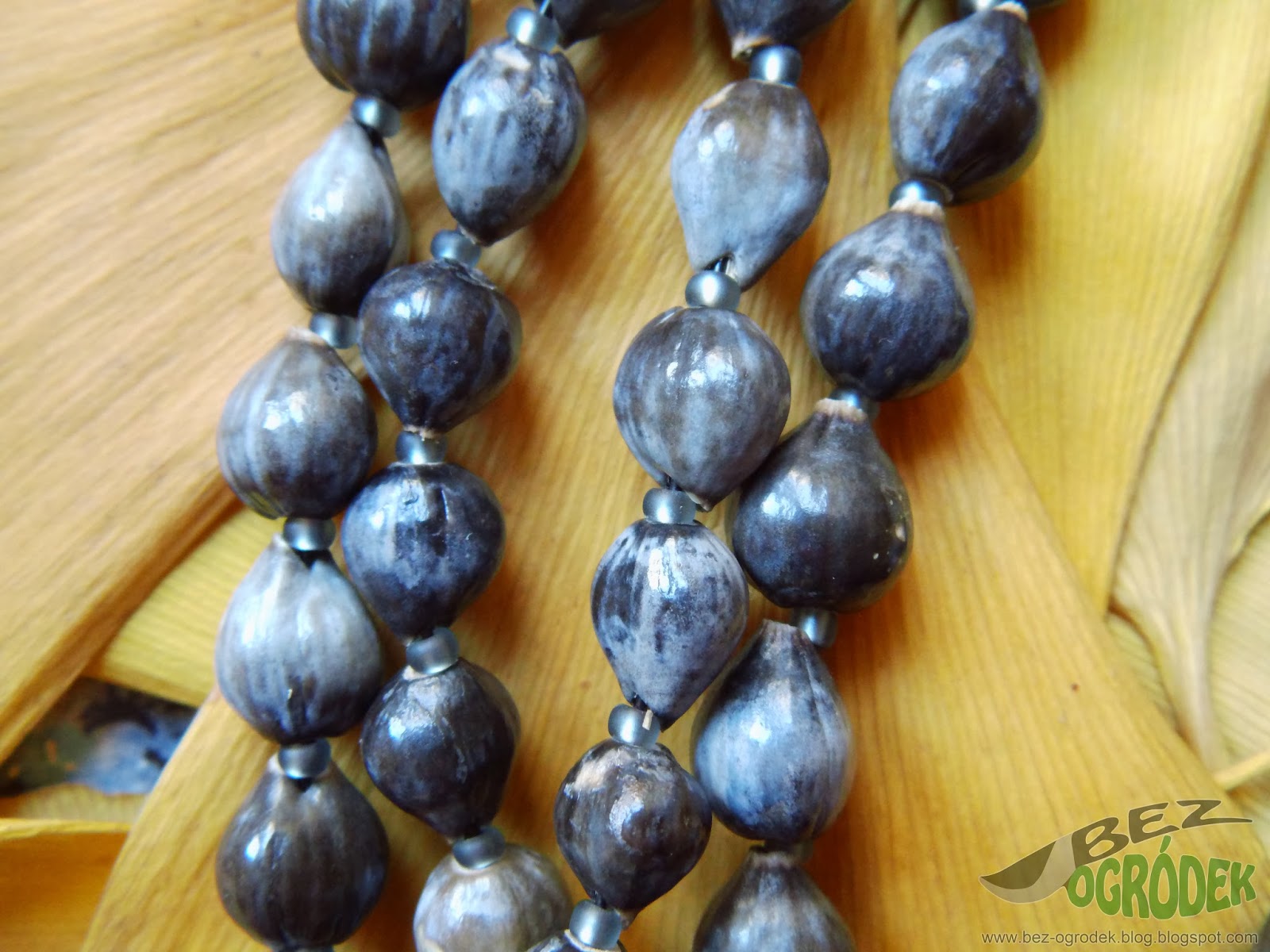 Łzy Hioba - naturalne koraliki | BEZ OGRÓDEK | blog ogrodniczy
