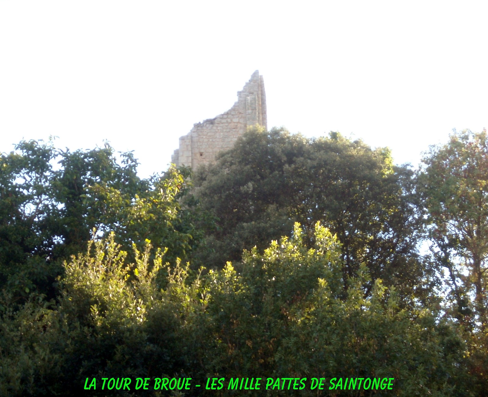 LES MILLE-PATTES DE SAINTONGE: LA TOUR DE BROUE - LE GOLFE DE SAINTONGE ...