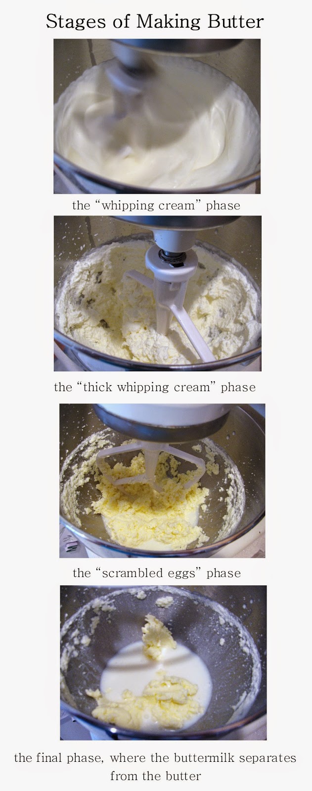 The Easy Way to Make Butter - Proverbs 31 Homestead