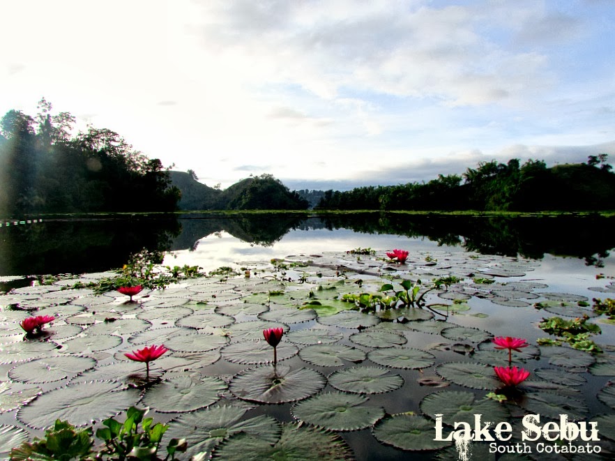 Love Mindanao: The Majestic Lake Sebu | Crazy Things to Do in South ...