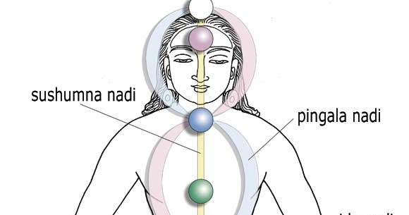 Luz da Merkabah: Nadis