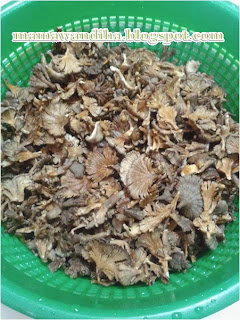 Dari Dapur MaDiHaA: Gulai Lemak Cili Padi Kulat Sisir / Cendawan Kukur