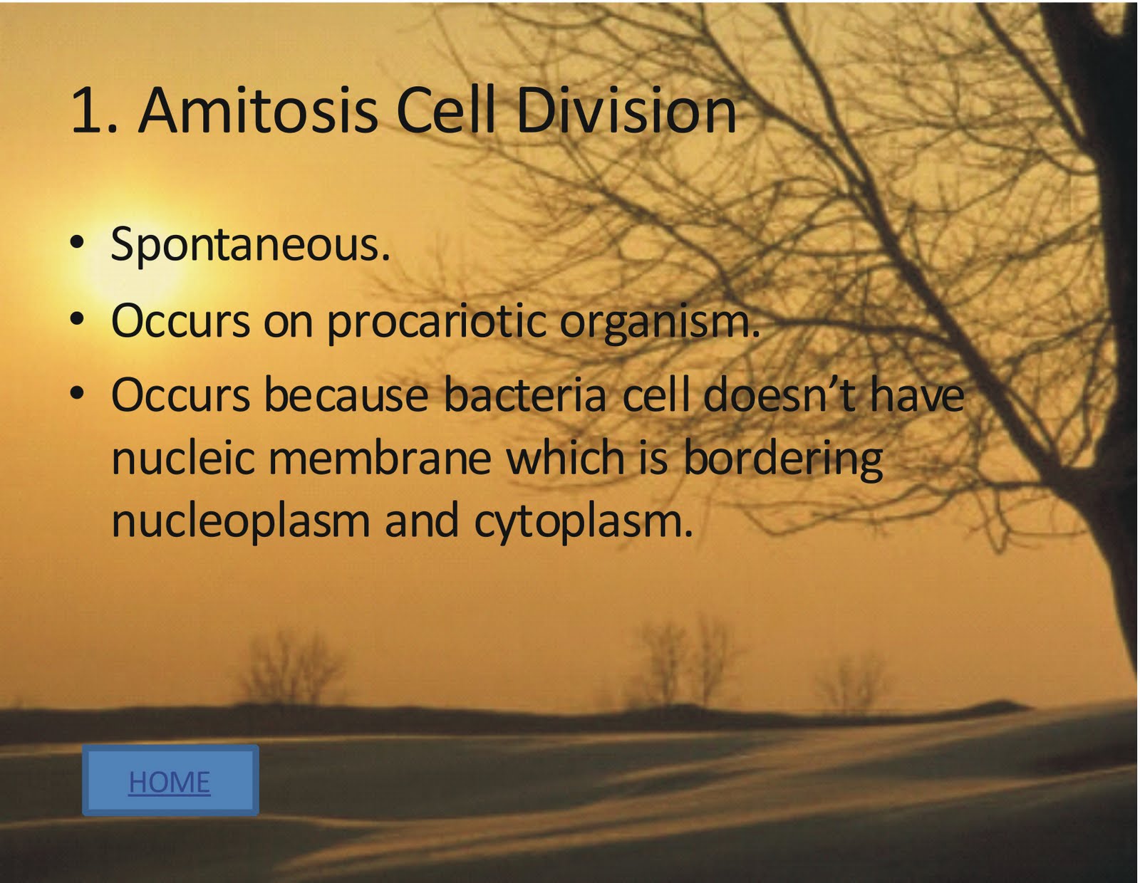 NOBODY'S PERFECT: Introduction, Part 1 of Cell Division (Pembelahan Sel)