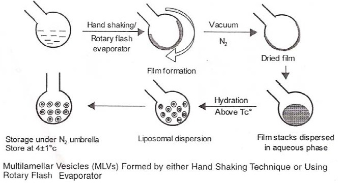 e-Pharmatimes: A Review on Liposomes