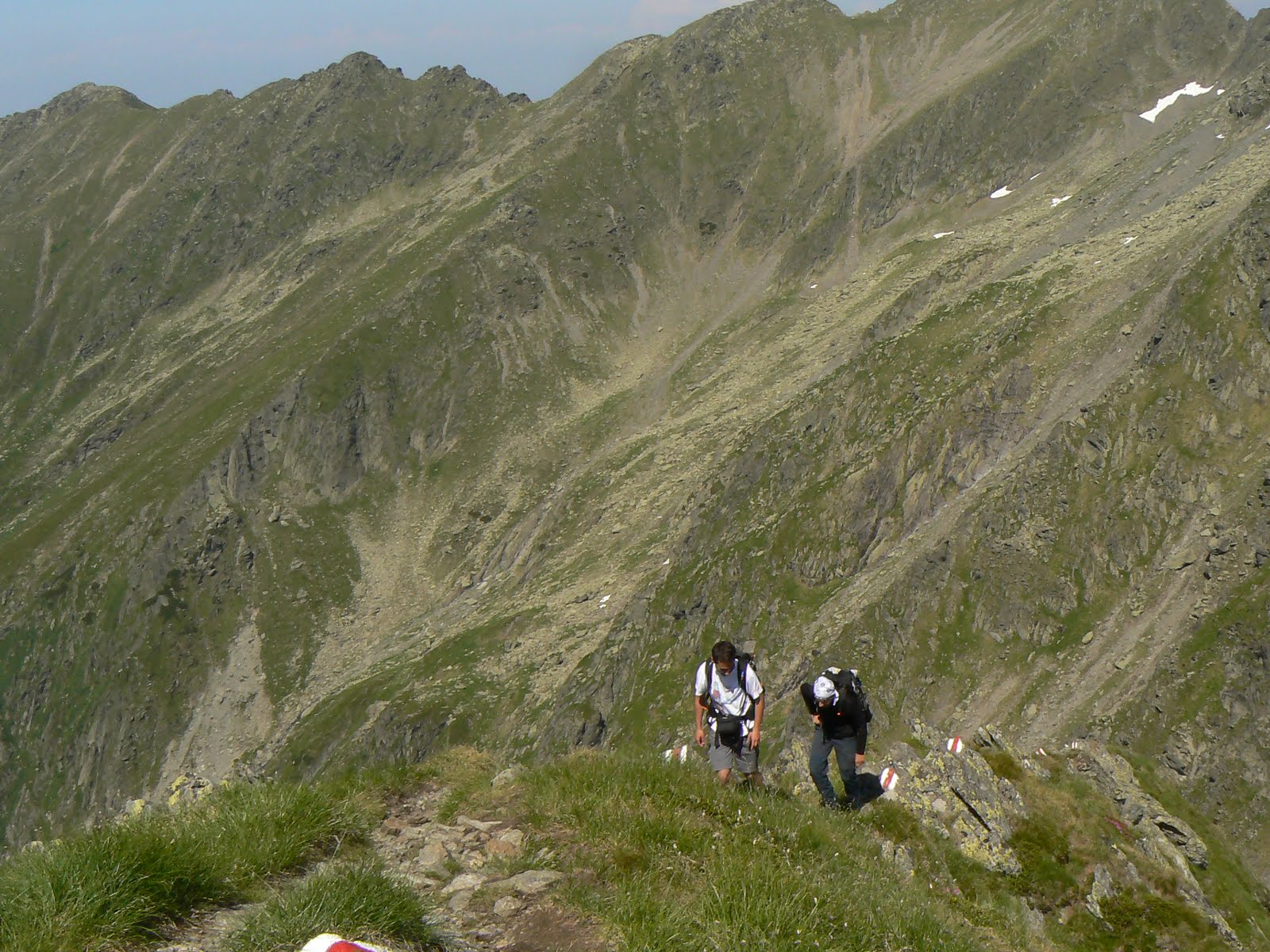 Vise pe poteci: Fagaras: Negoiu - Custura Saratii 8-10 iulie 2011