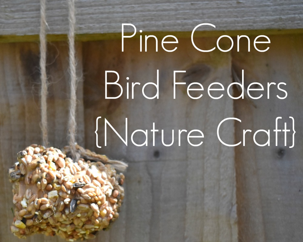 Pine Cone Bird Feeders {Nature Craft} - Whimsical Mumblings