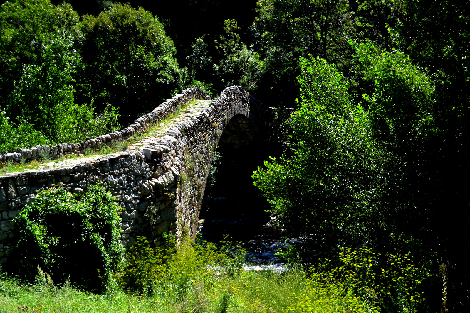 Conèixer Catalunya: EL PONT MEDIEVAL DE LA MARGINEDA. ANDORRA LA VELLA