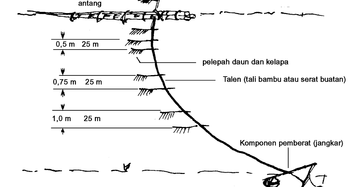 KOMUNITAS PENYULUH PERIKANAN: MENGENAL RUMPON