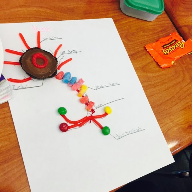 Mrs. Anderson's 5th Grade Class: The Headlines