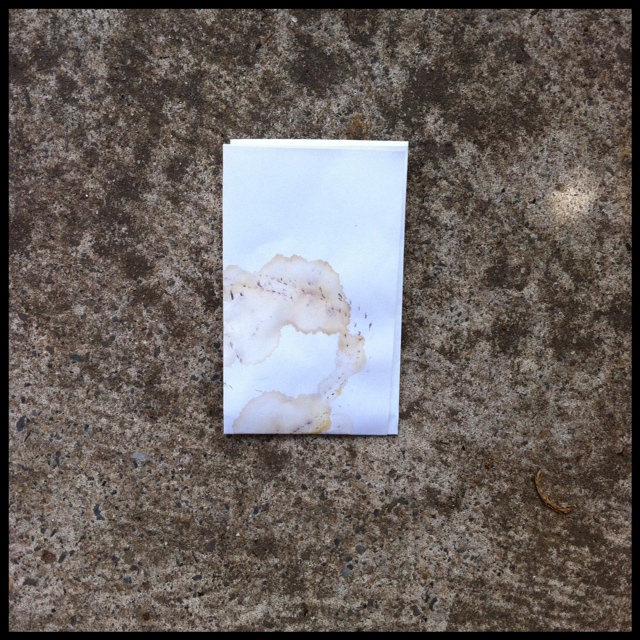 prophet of bloom: simple folded paper bag