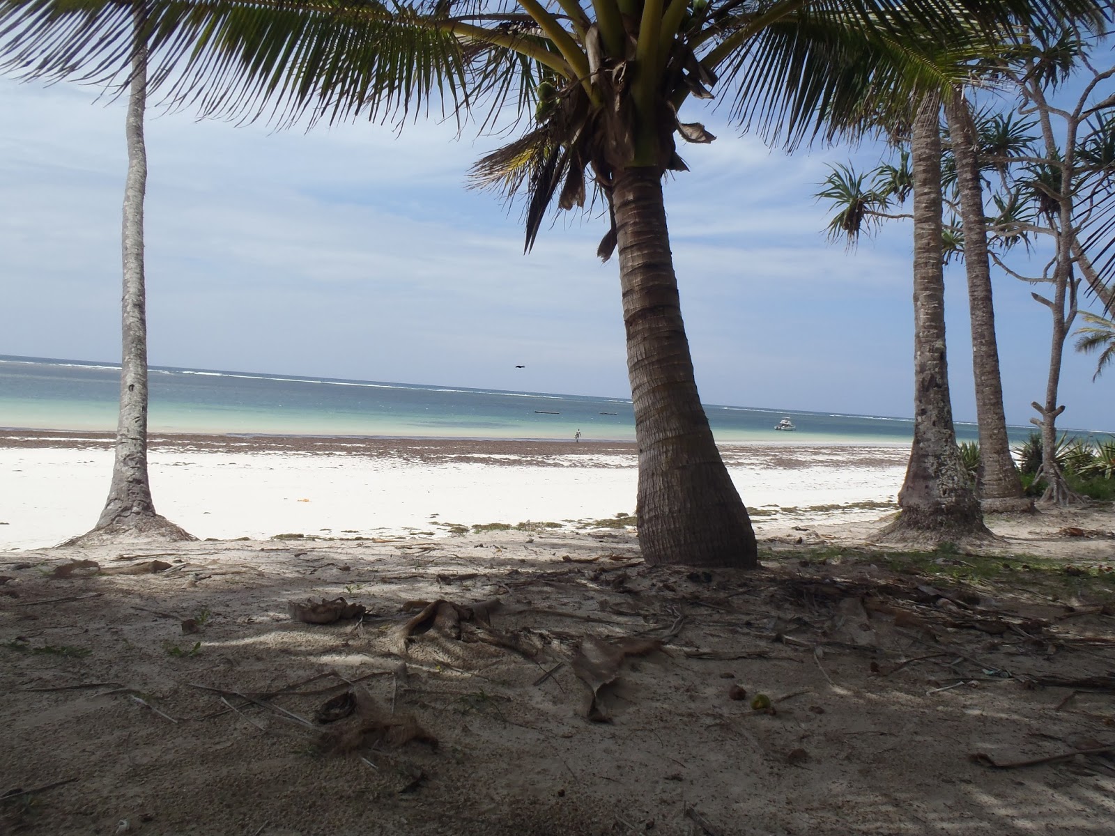 Karungu, Kenya: Going Coastal!