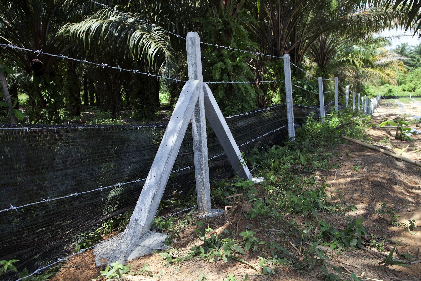 Ladang 8: Menaik Taraf Pagar