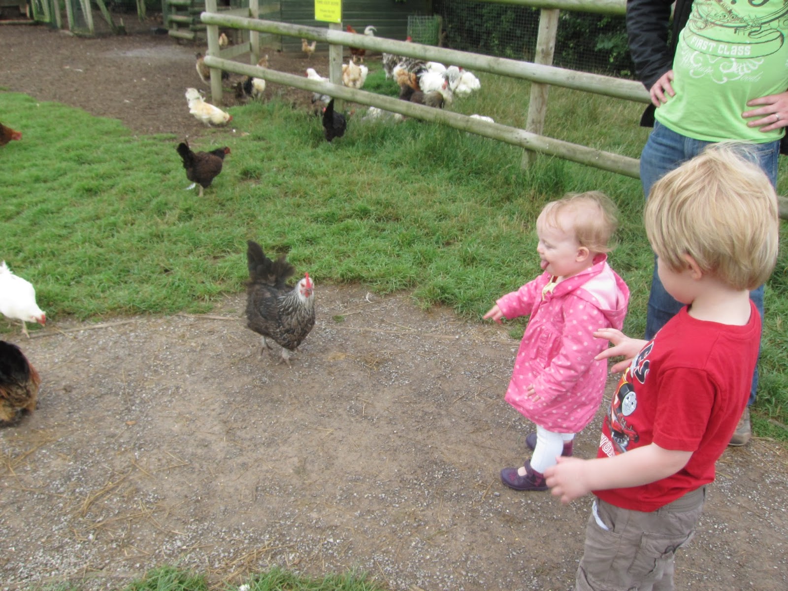 Jelly Rose: Noah's Ark Zoo Farm (Bristol) Day Trip