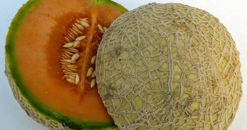 Kharbooja khane ke fayde. (Benefits of Muskmelon) - Hinglishpedia
