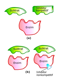 Semua Informasi: Cara Kerja dan Faktor yang Mempengaruhi serta ...