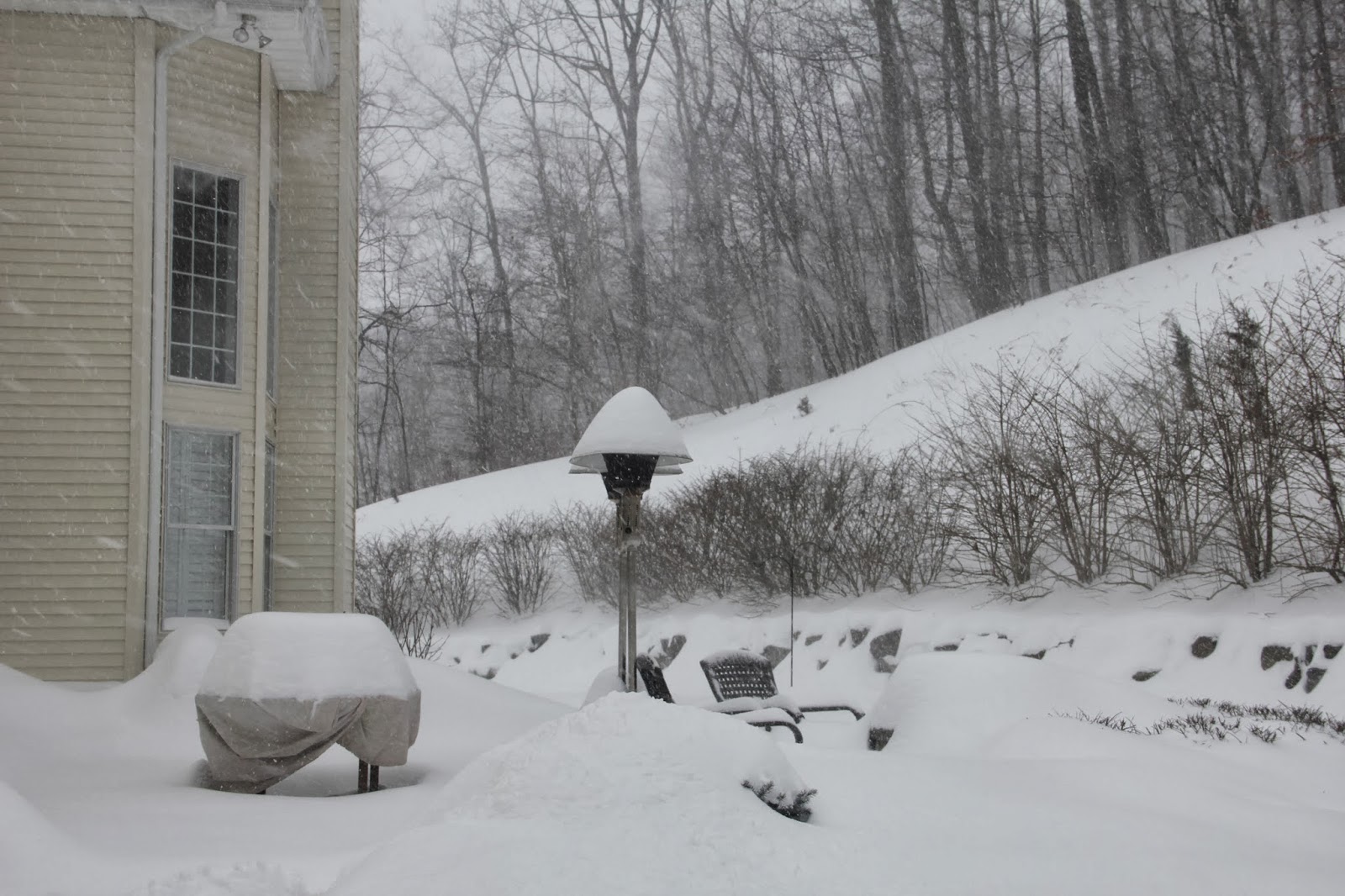 From This Side of the Pond: Variety is the Spice of Life