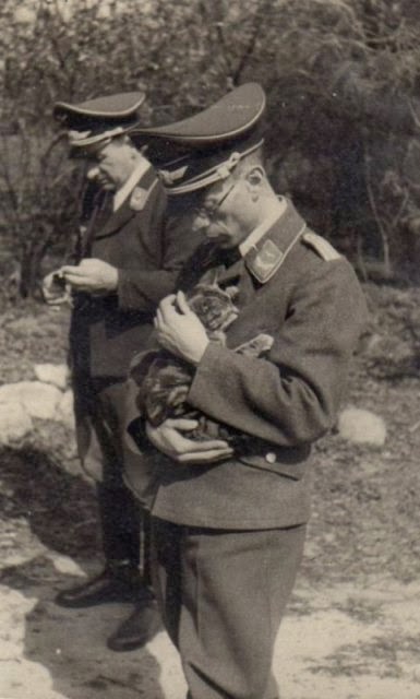 NAZI JERMAN: Foto Kucing (Katze)