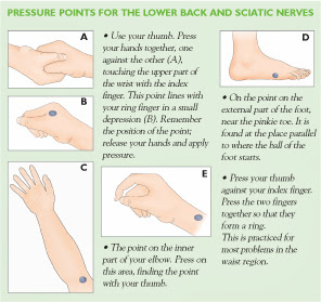 Pressure Points for the Lower Back and Sciatic Nerve | A Little Bit of ...
