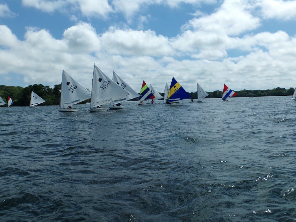Massapoag Sunfish Fleet News: I See Sunfish... They're Everywhere!