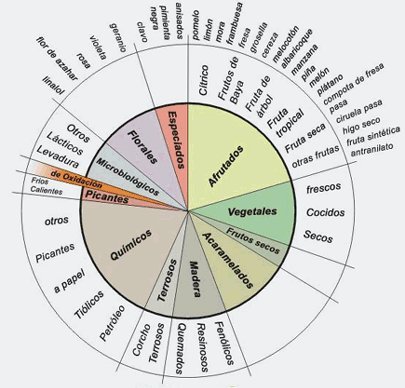 de Uvas a Vinos: La Cata: Fase olfativa