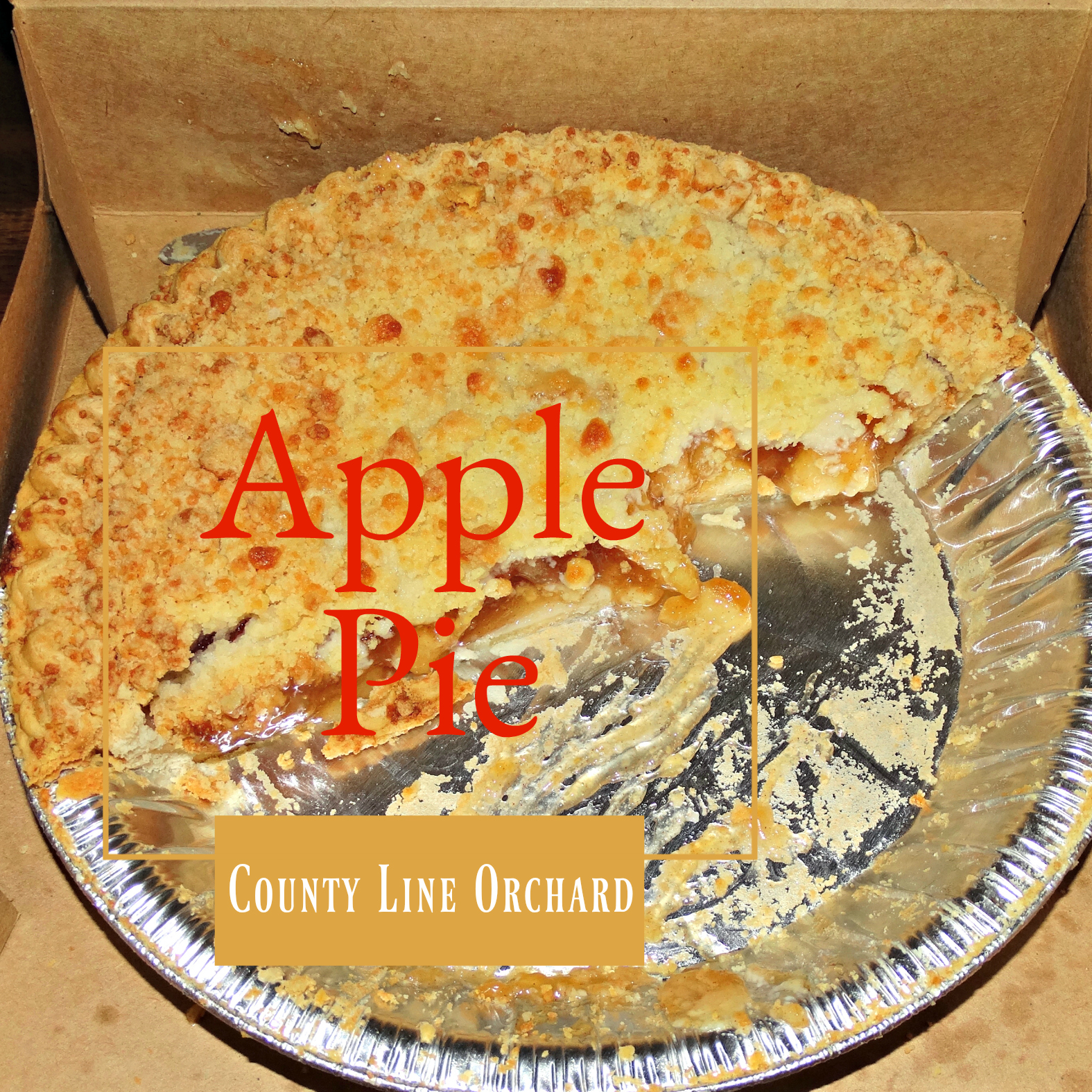 Embracing a Healthy Family: Homeschool Field Trip to County Line ...