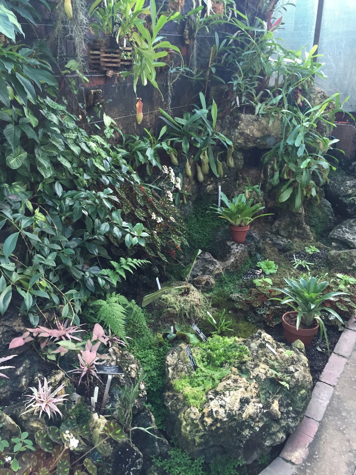 A quick wander around Winterbourne Gardens