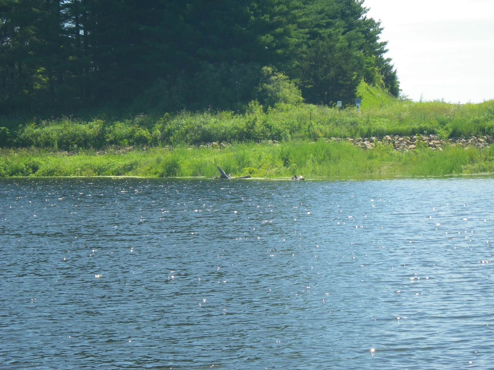 The Lost Grove Lake Mapping Project