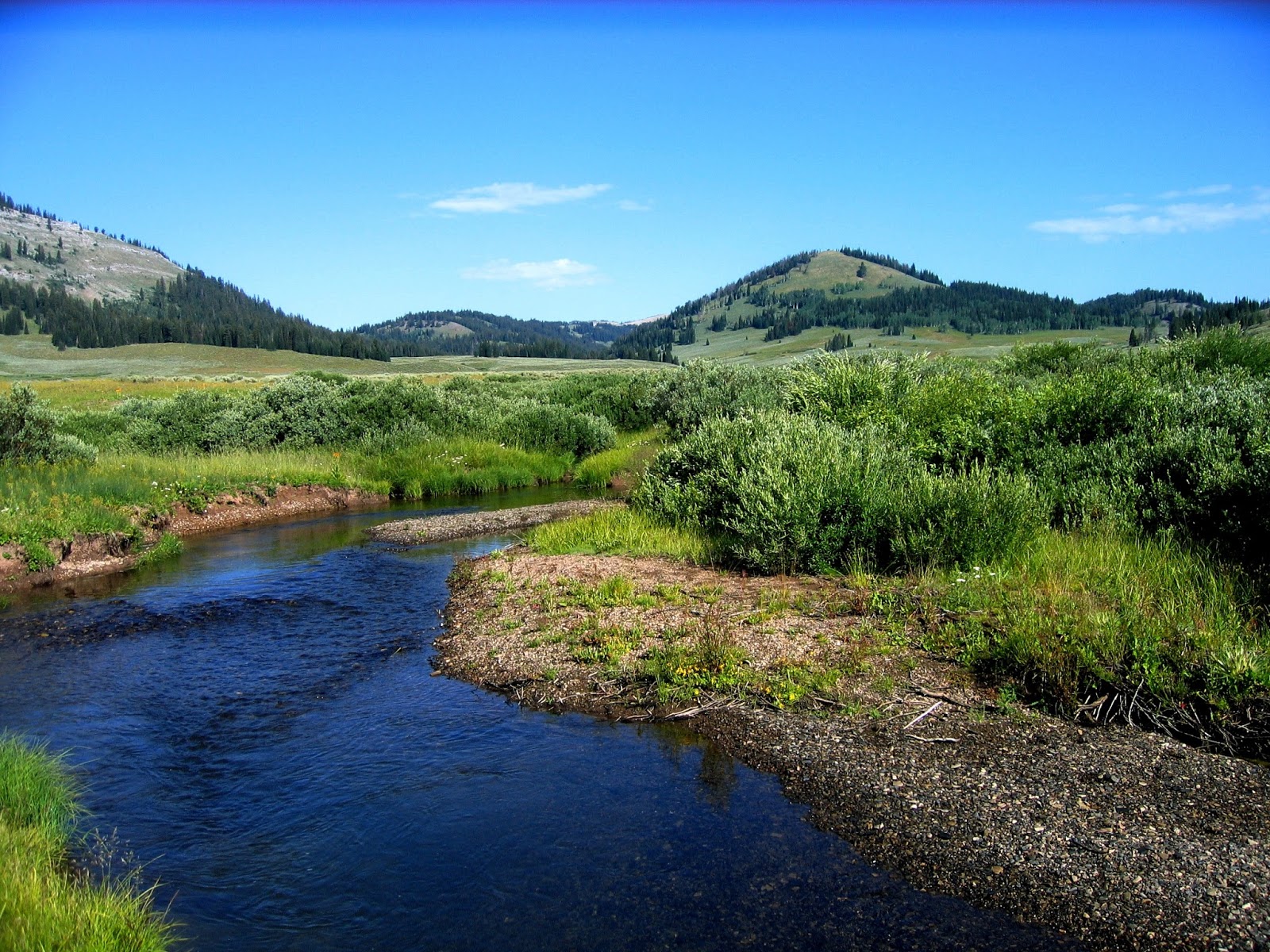Trout and Trail: Two Faces of the Wyoming Range