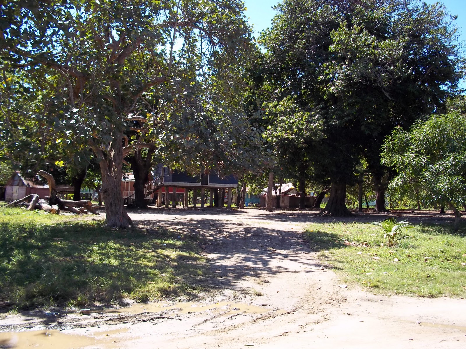 Emily's Nursing Adventures in Honduras: Outreach to Crawfish Rock