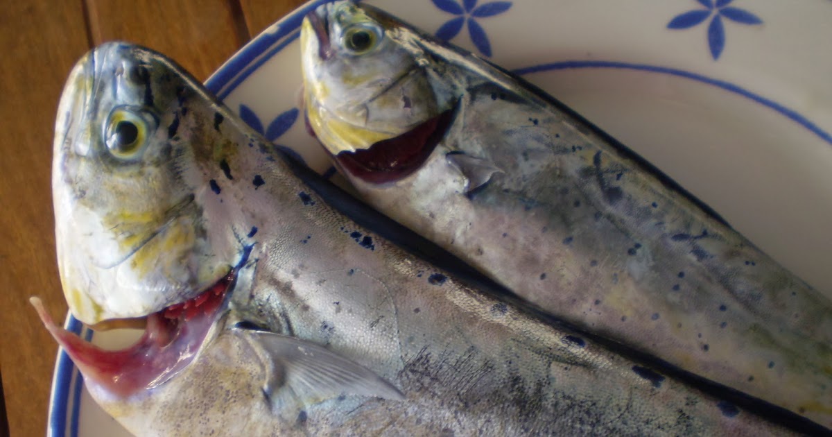 viscA LA CUINA: LLAMPUGA AMB PATATES