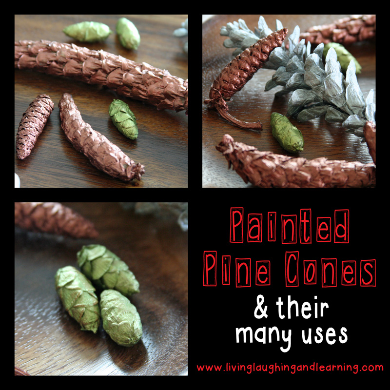 Living, Laughing, and Learning: Painted Pine Cones & All Their Uses