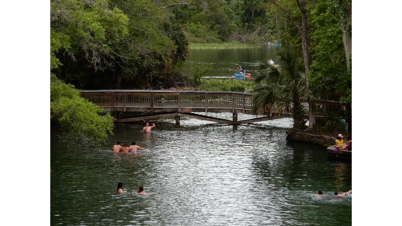 Wandering Environmentalist: FL Lake Country - Springs, Water Management ...