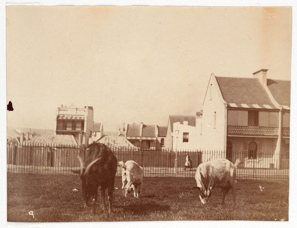 30 Amazing Candid Snapshots of Sydneysiders and Sydney’s Bustling ...