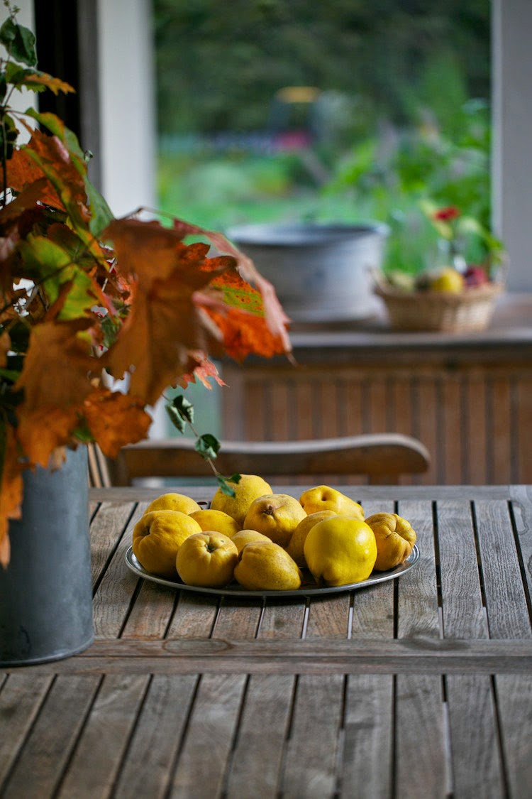 LIVING IN DRESDEN: two ways to cook quinces