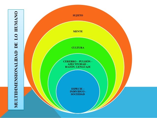 semestral de crecimiento y desarrollo: DESARROLLO MULTIDIMENSIONAL