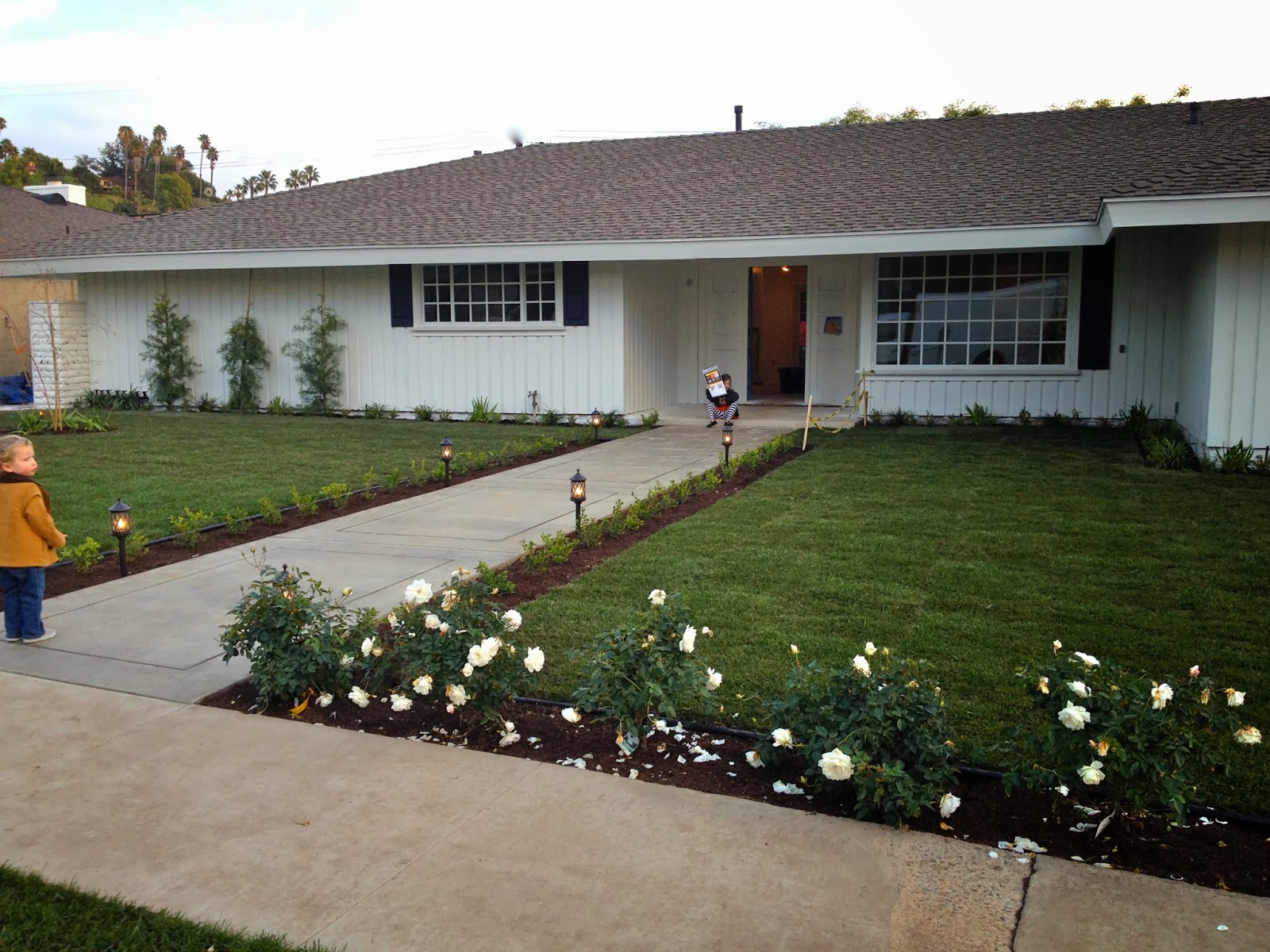 The Cape Cod Ranch Renovation: Landscape