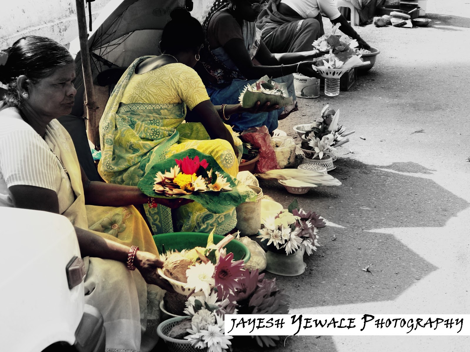 Women Selling Lotus Flowers Outside Mangeshi Temple Goa - | 300dpix