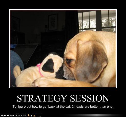 trendystyle: A new collection of funny demotivational posters