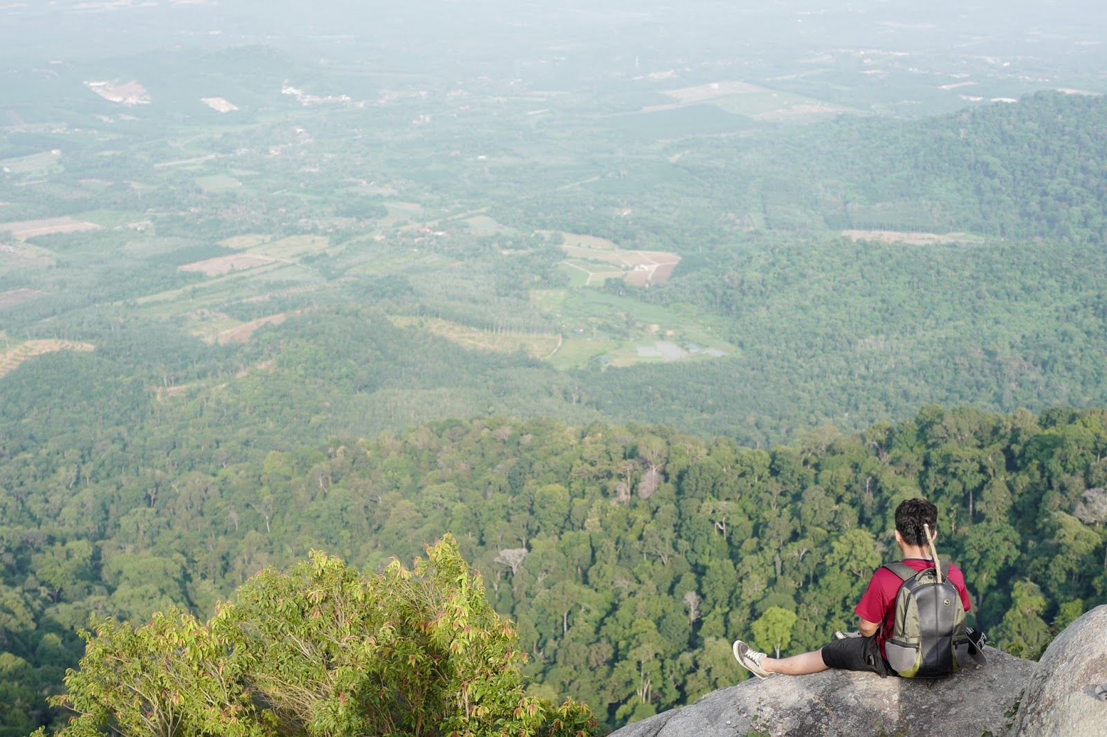JE TunNel: Hutan Lipur GUNUNG DATUK @ Kota, Negeri Sembilan~ A Dream ...